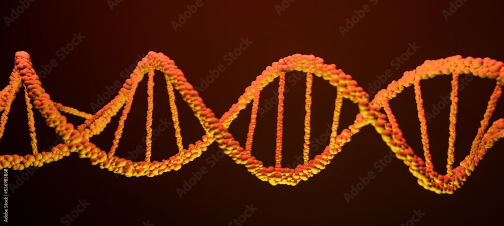 Orange DNA Deoxyribonucleic acid, structure of double helix molecule ...