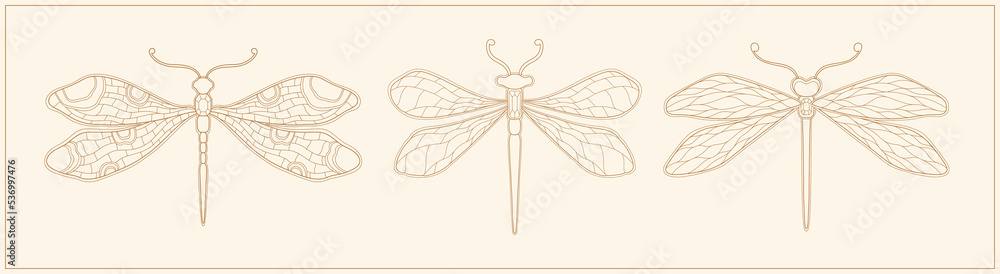 Art nouveau style dragonfly insect basic element. 1920-1930 years ...