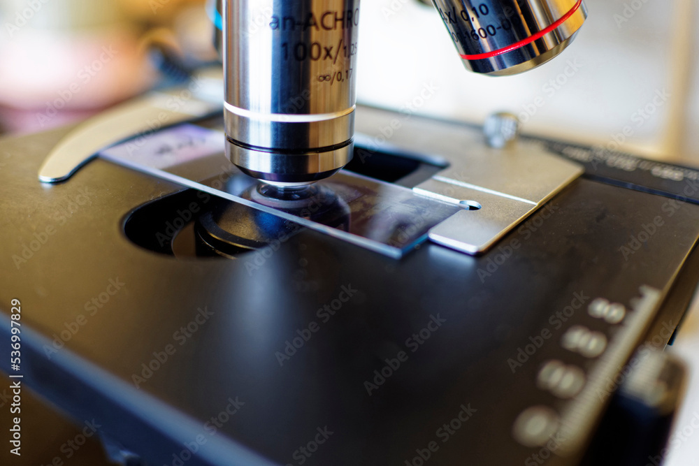 A close-up of a fixed slide and the objective of a light microscope ...