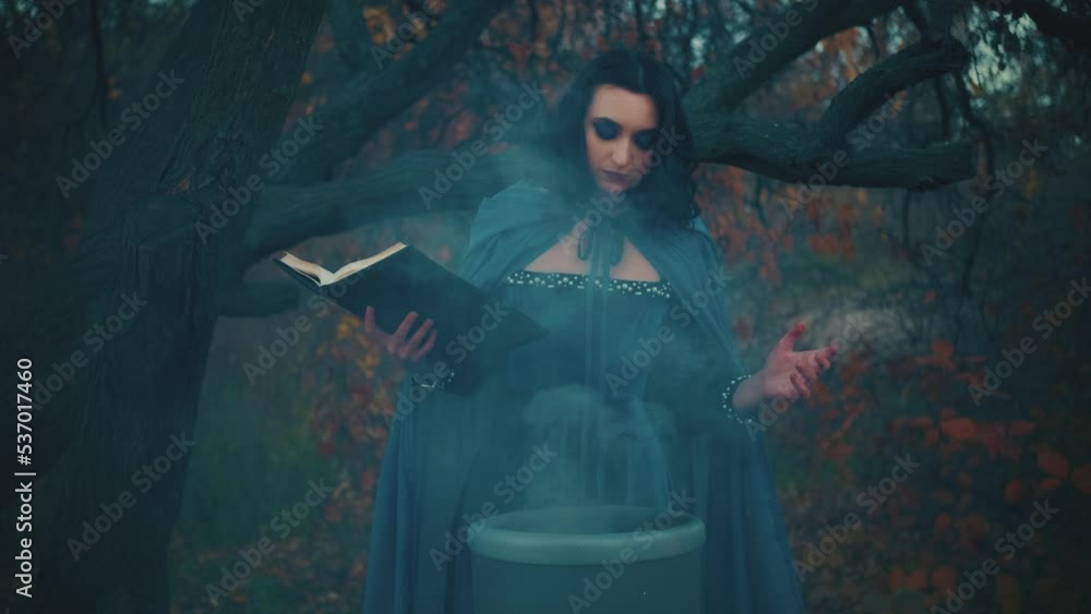 Art portrait fantasy woman witch conjures over vat, black smoke Gothic ...