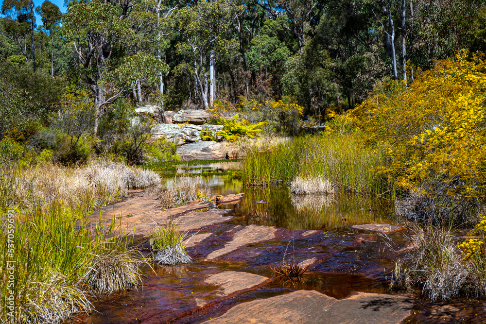 blackdown tablelands landscape in queensland, australia, natural rock ...
