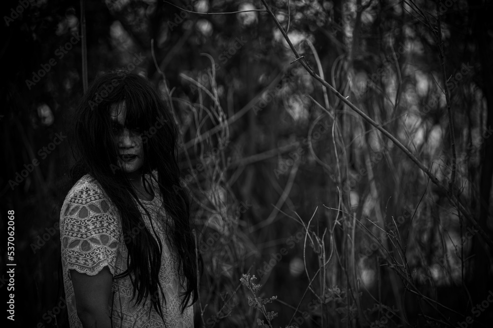 Portrait of asian woman make up ghost face at the swamp,Horror in water ...