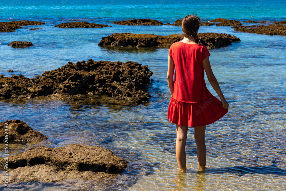 beautiful girl in red dress stands in coral reef water in daintree ...