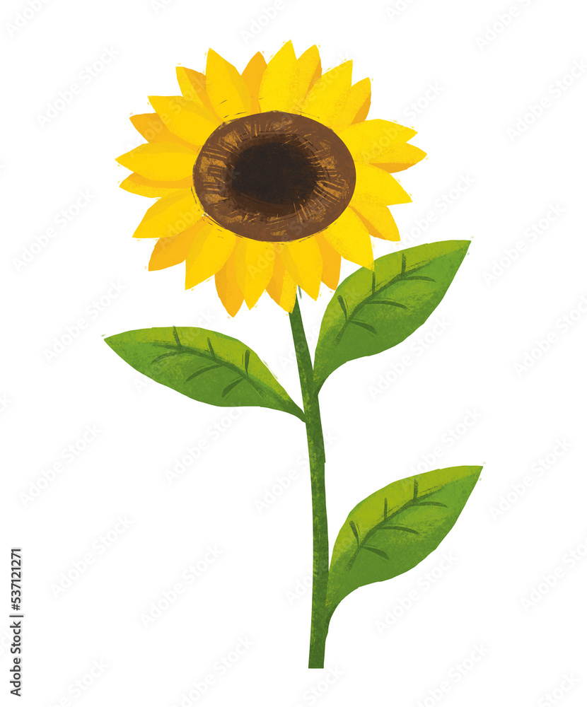 Cartoon scene with sunflower isolated illustration for the children ...