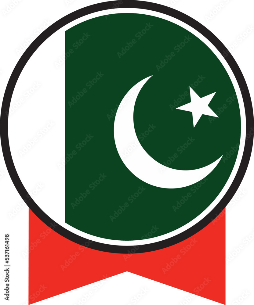 Vetor de Pakistan flag, the flag of Pakistan, vector illustration do ...