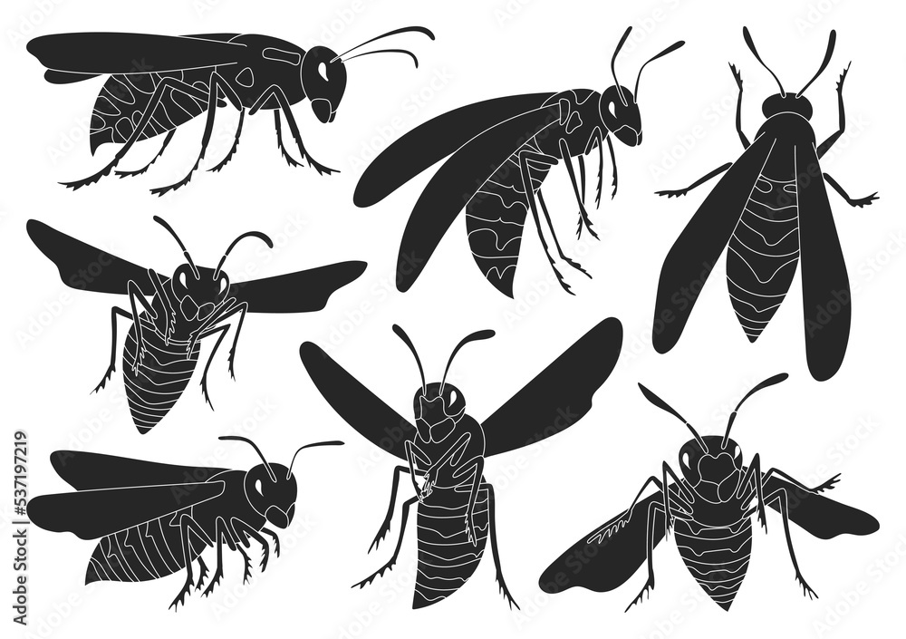 Wasp vector black icon set . Collection vector illustration yellow wasp ...