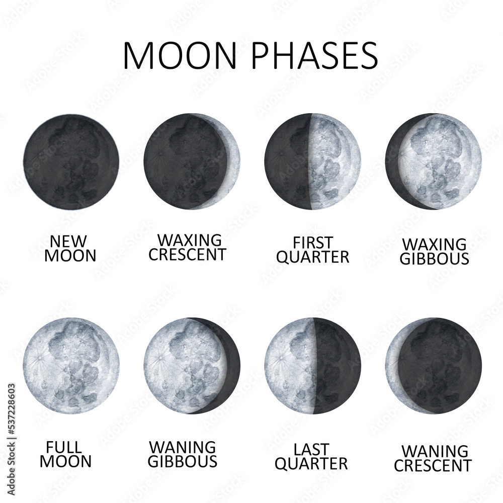 Moon phases on white background. Galaxy Hand drawn isolated watercolor ...