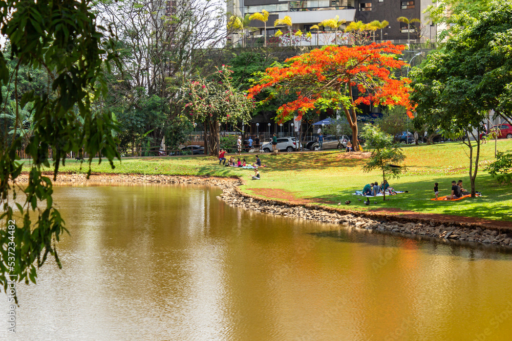 Um ângulo do Parque Flamboyant na cidade de Goiânia onde há uma árvore ...
