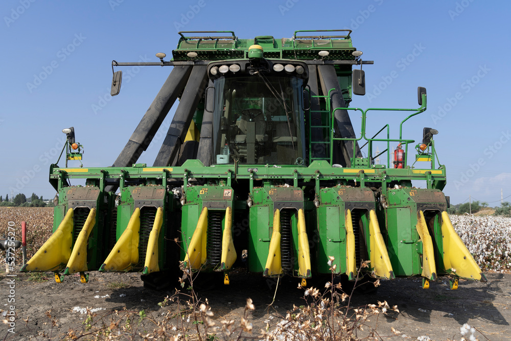 John Deere type cotton picker, 6 rows in a cotton field during picking ...