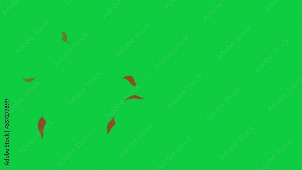 Green Leaves Falling Green Screen
