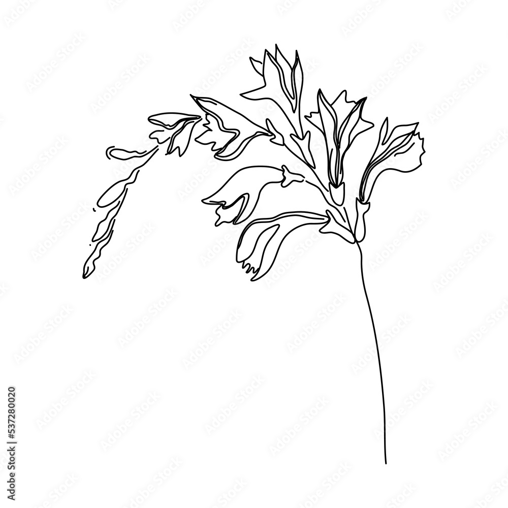 Flower One Line Drawing. Floral Minimalistic Style. Nature Symbol ...
