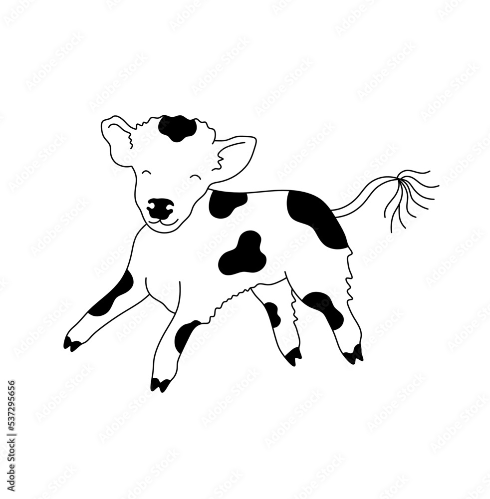 Vector isolated cute cartoon funny galloping spotted calf baby cow ...