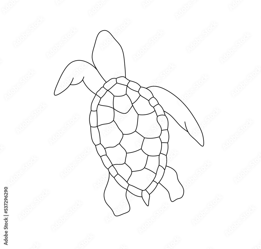 Vector isolated rowing swimming sea turtle top view colorless black and ...