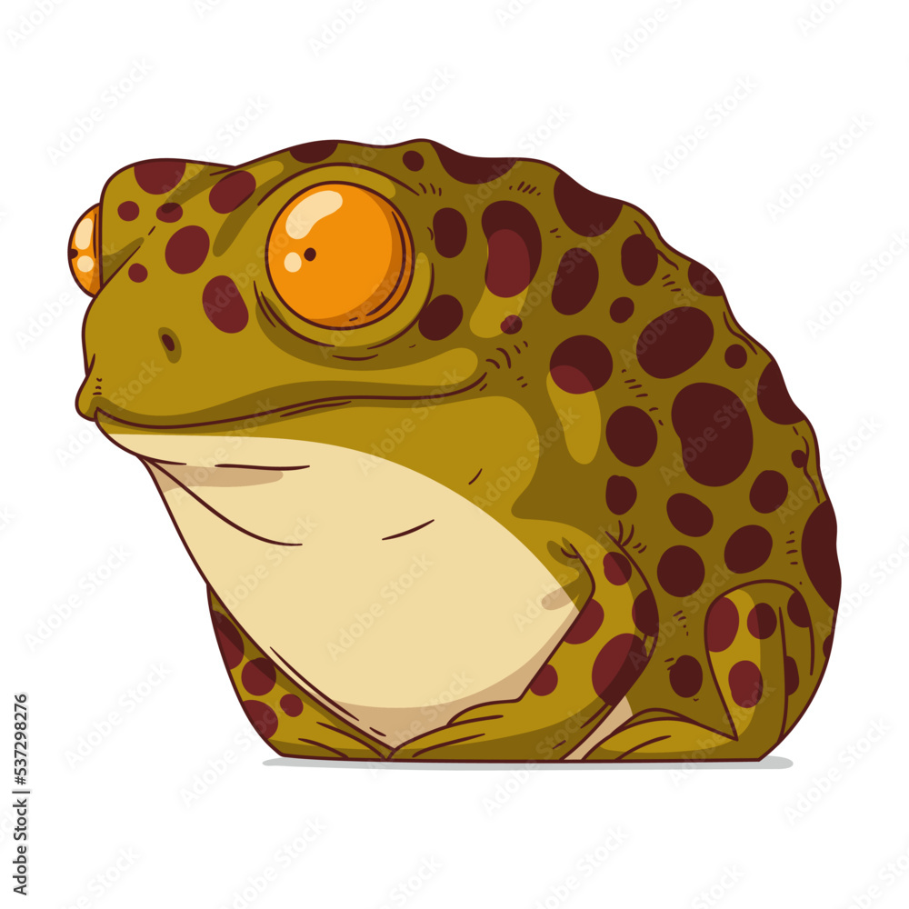 A Confused Frog, isolated vector illustration. Funny cartoon picture of ...