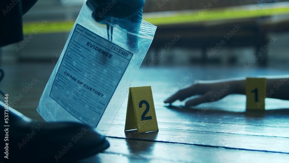 Detective Collecting Evidence in a Crime Scene. Forensic Specialists ...