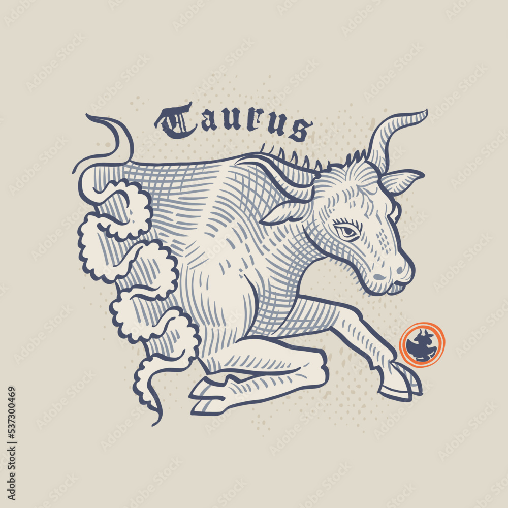 Bull zodiac sign. Astrology illustration in medieval engraving style ...