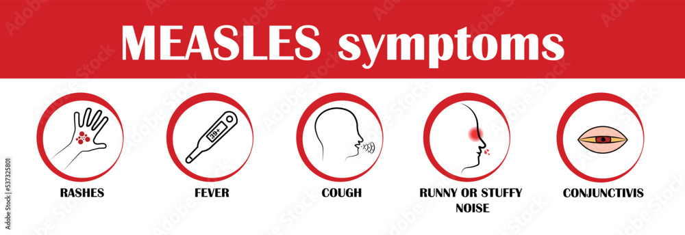 measles symptoms, vector pictograms Stock Vector | Adobe Stock