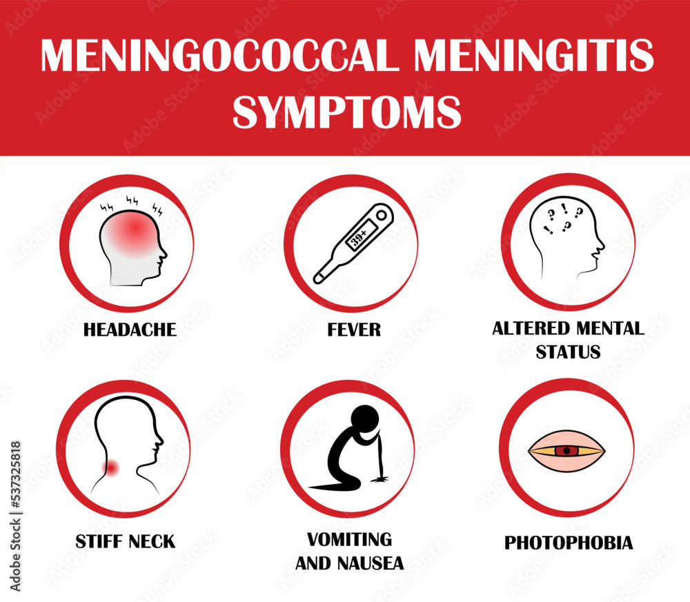 Meningococcal meningitis symptoms, vector pictograms Stock Vector ...