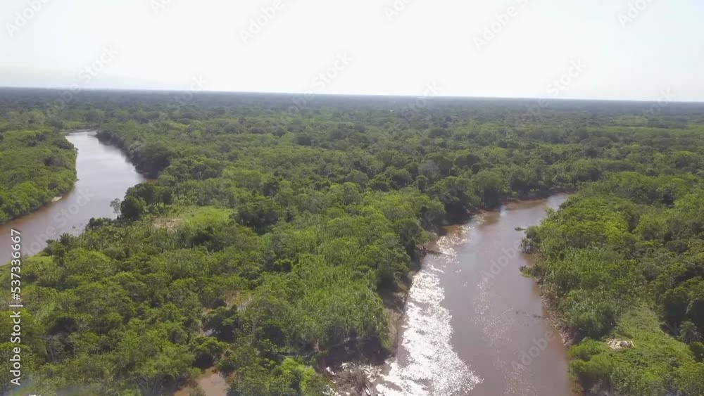 volando sobre ríos del Amazonas, meandros, sobre la selva de arboles ...