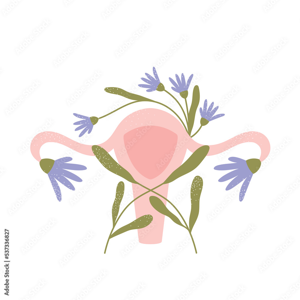 Female reproductive system with flowers. Anatomical female uterus ...