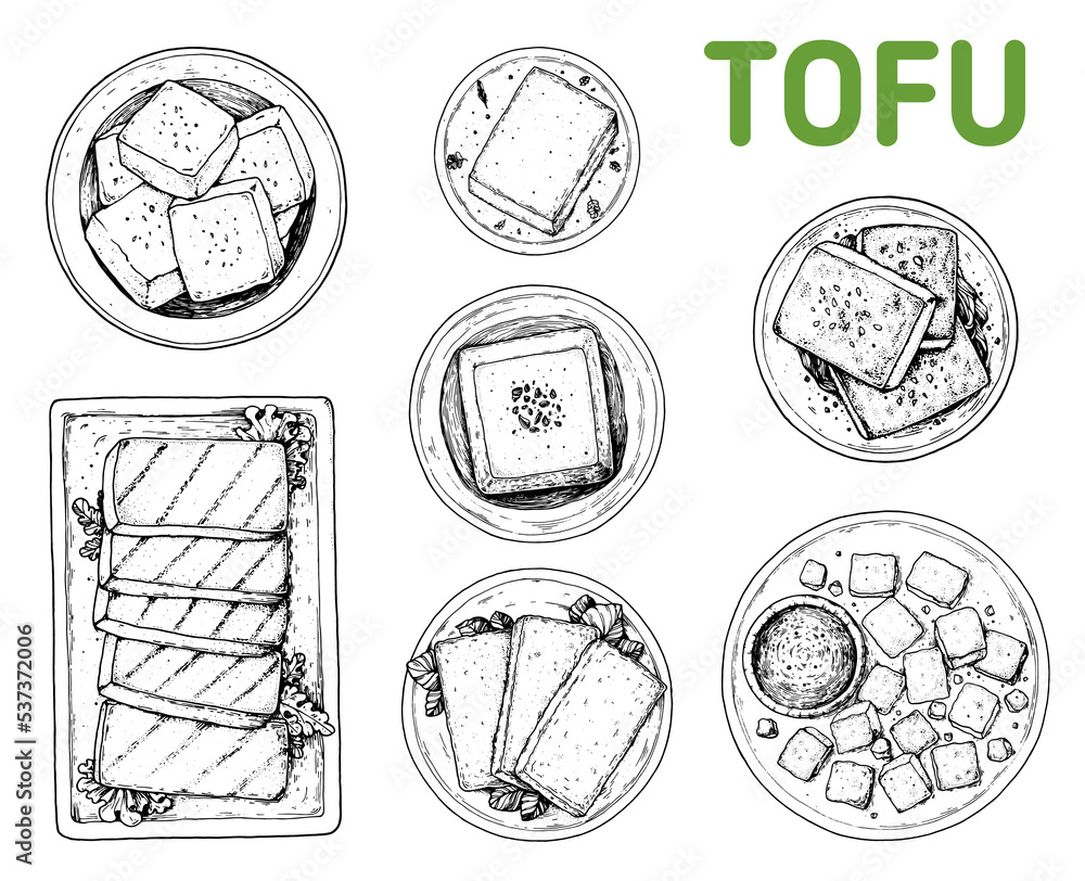 Tofu hand drawn vector illustration. Tofu sketch. Asian food. Soybean ...