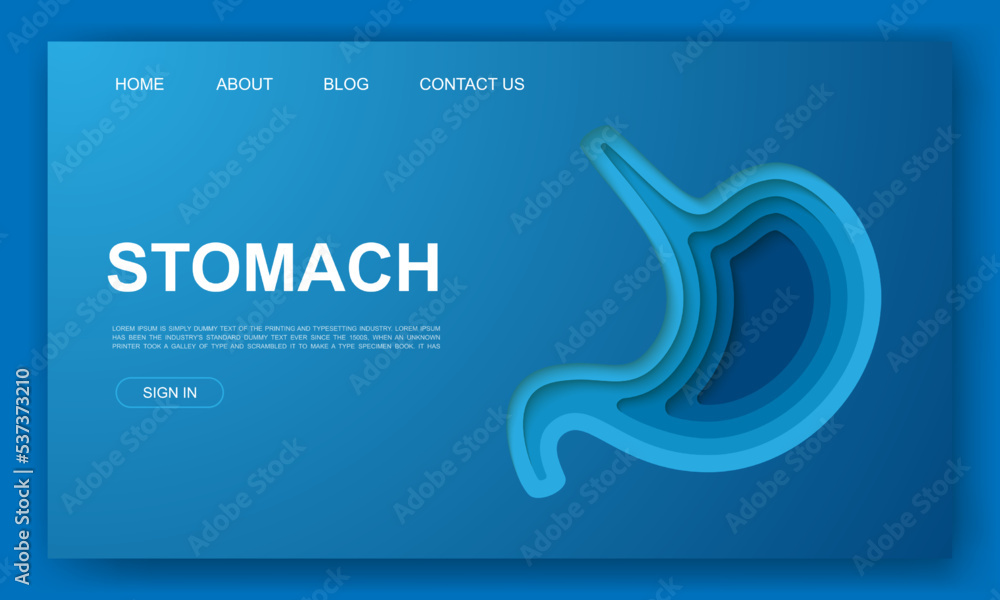 Stomach 3d paper cut website template. Digestive system paper cut out ...