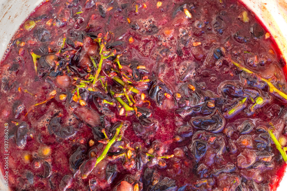 grape pomace in a bucket after being squeezed and pressed to make wine ...