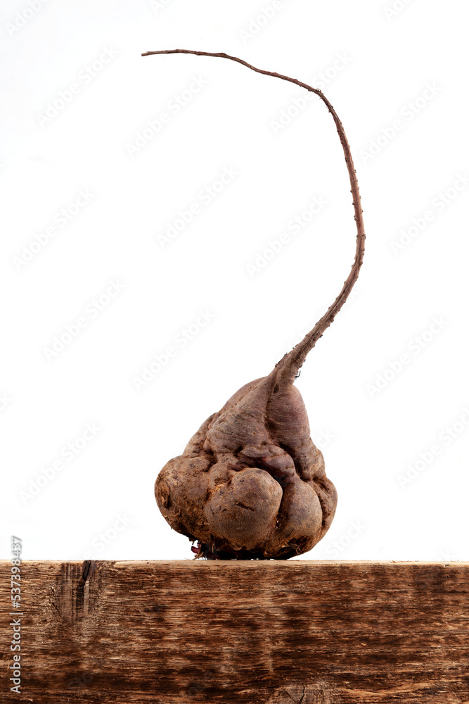 Foto de Deformed ugly beetroot, close-up. Latest trend - Eating Crooked ...