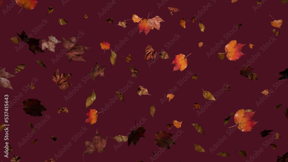 Fall themed Wallpaper, with Leaves against Burgundy Color. Seasonal ...