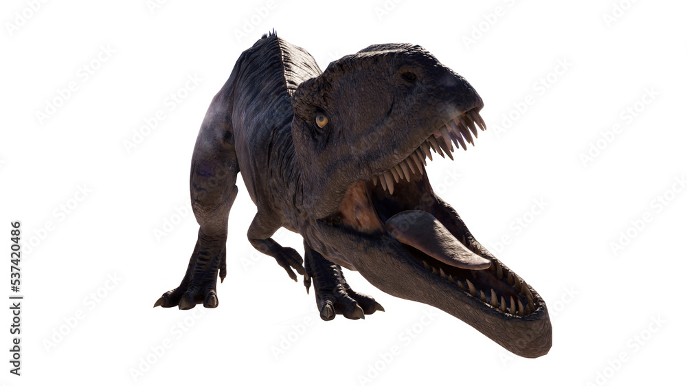 Giganotosaurus dinosaur running and roaring on a blank background PNG ...