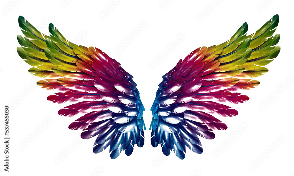 Colourful wings from Museum of Senses, Prague Stock Photo | Adobe Stock