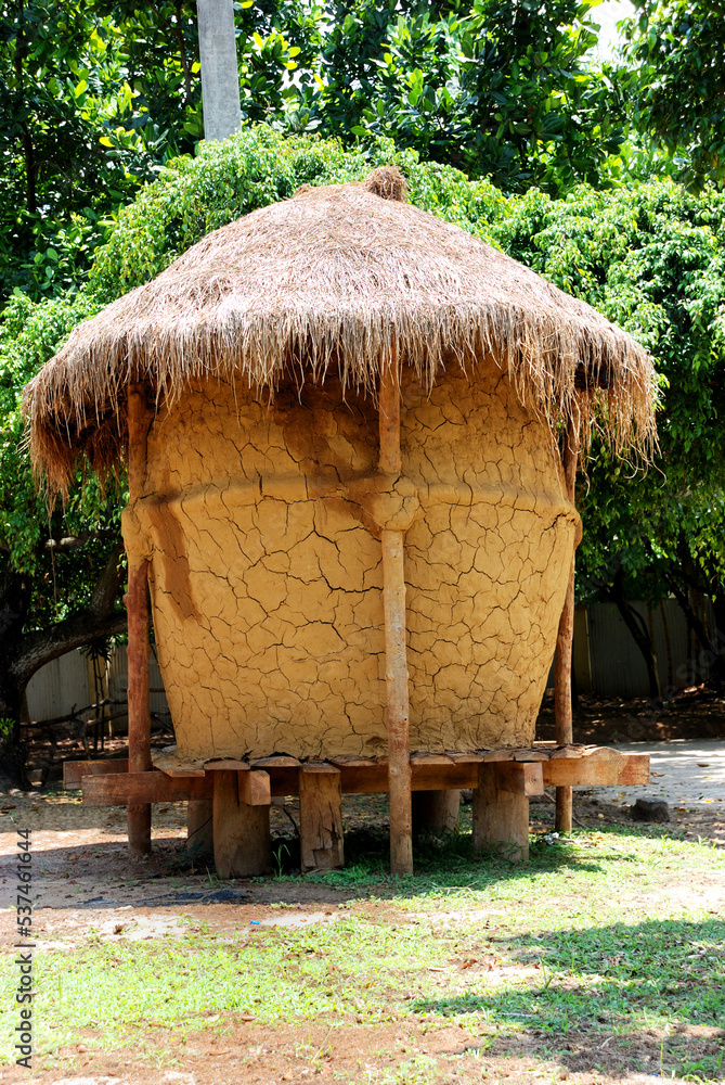 Vee Bissa | Traditional Rice Storage in Sri Lanka is made a outside the ...