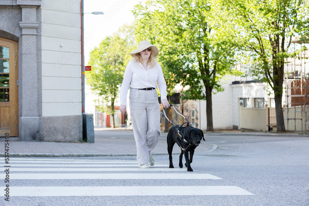 Woman walking with assistance dog Stock Photo | Adobe Stock