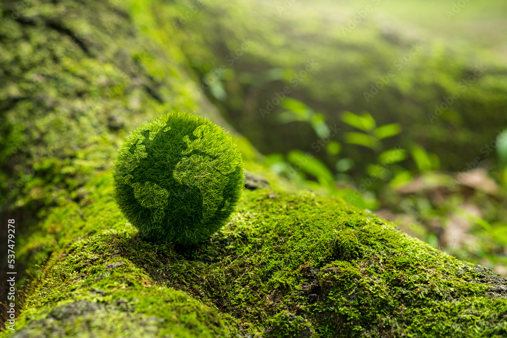 Close up earth on nature background. ESG Environmental, social, and ...