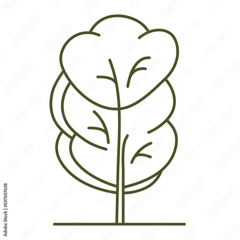 Frontal tree. Entourage design. For the landscape design plan ...