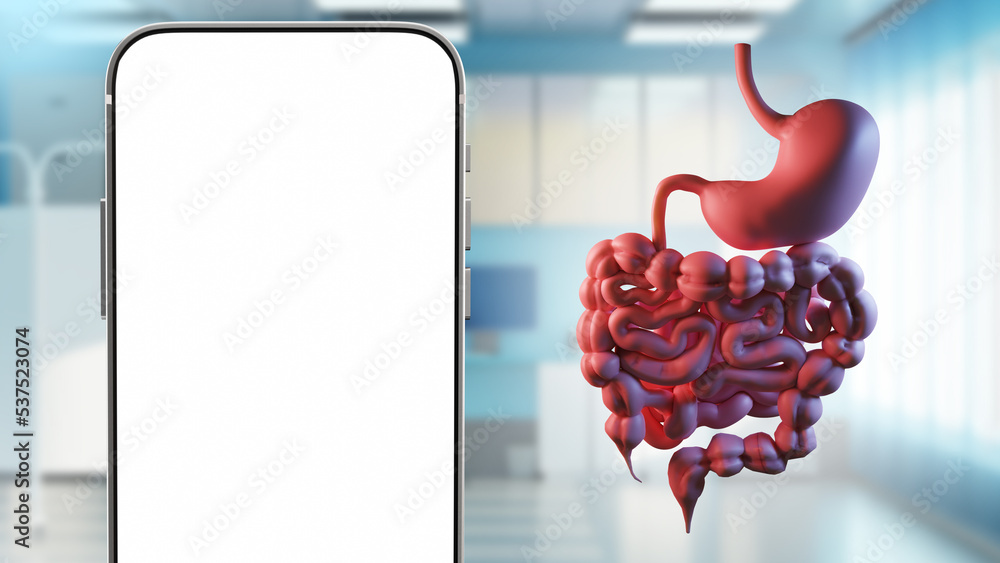 Health of digestive system. Mockup phone. Human digestive system ...