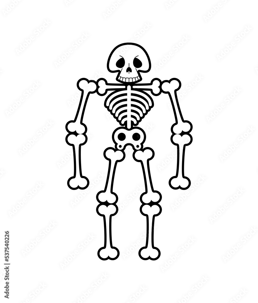 Skeleton cartoon isolated. Skull funny head. Vector illustration Stock ...