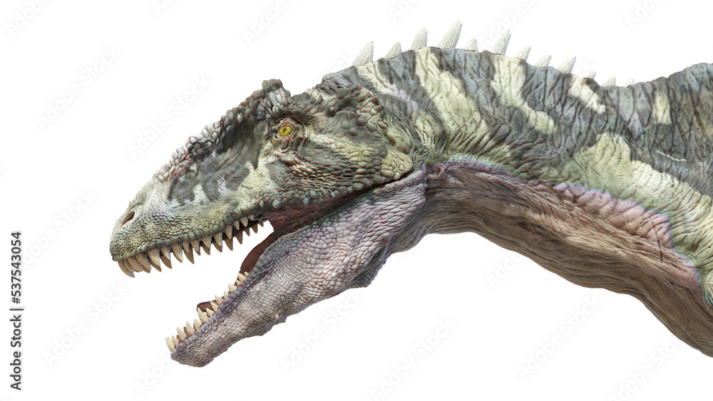 3d rendered dinosaur illustration of the Acrocanthosaurus Stock ...
