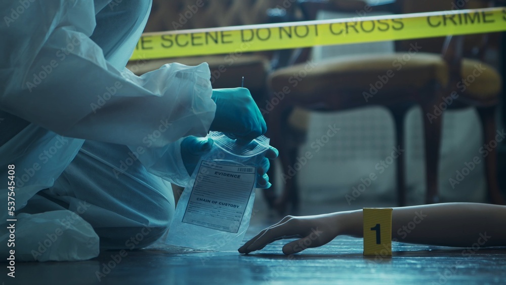 Detective Collecting Evidence in a Crime Scene. Forensic Specialists ...