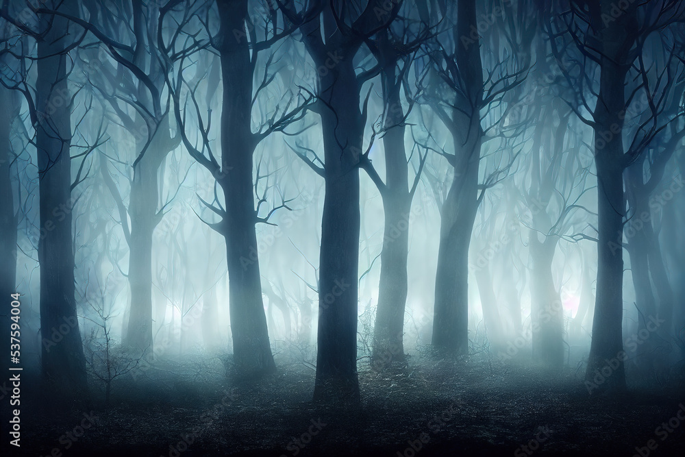 Dark tree silhuettes in enchanted forest at night, fog and mysterious ...