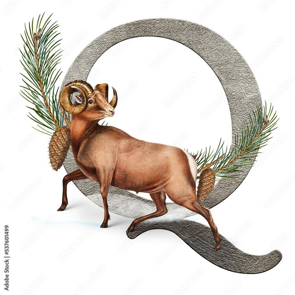 The Q initial letter. Vintage Alphabet, set of hand-drawn ornate ...