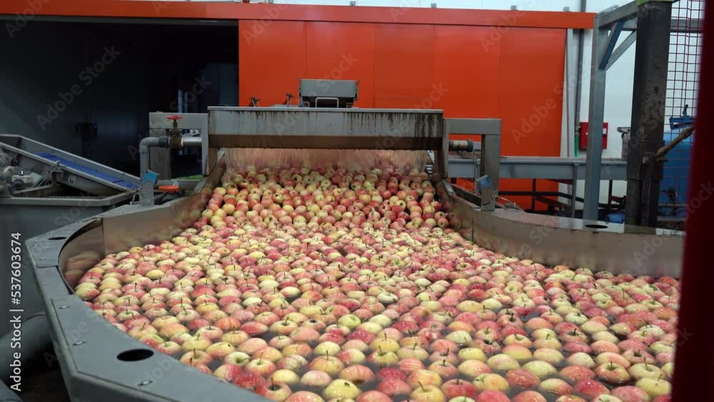 Food Processing Plant Interior With Apples Floating And Being Washed And Transported In Water ...