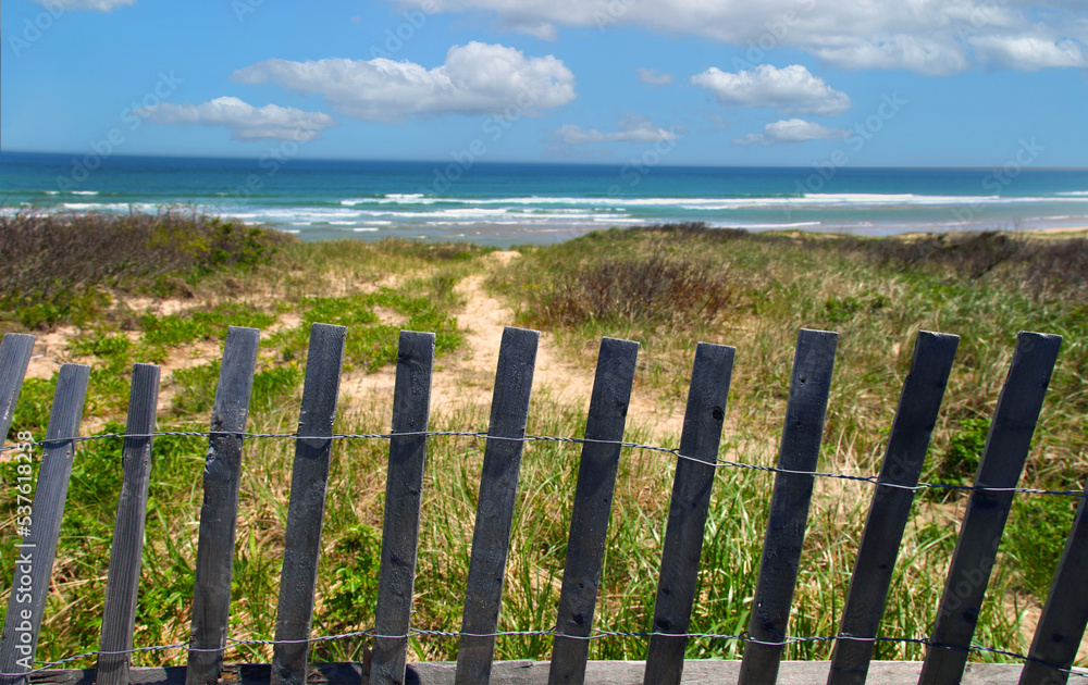 Snow Fence and Dunes at Coast Guard Beach at the Cape Cod National ...