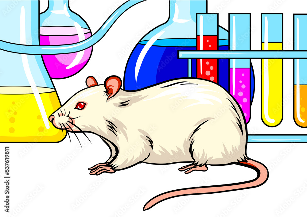 Laboratory mouse pop art style PNG illustration with transparent background Stock Illustration ...