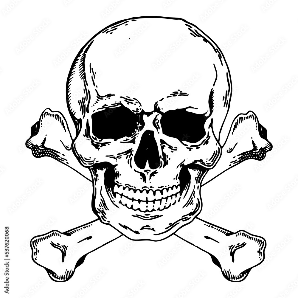 Jolly Roger engraving style PNG illustration with transparent ...