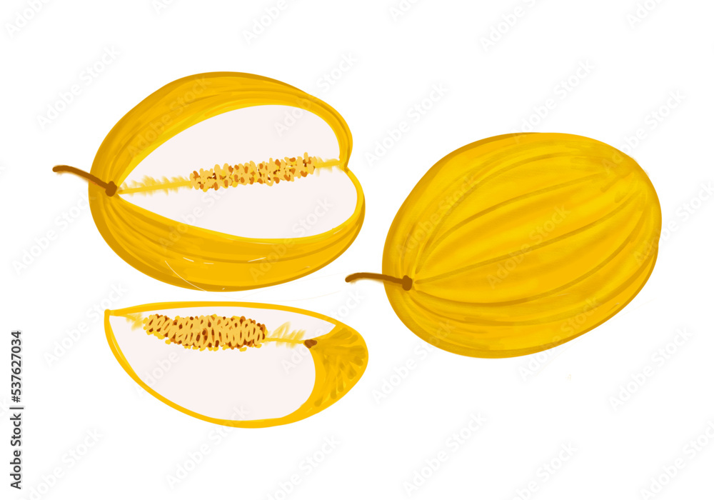 Melons, yellow fruit, cut, melon slice, color drawing, on a transparent ...
