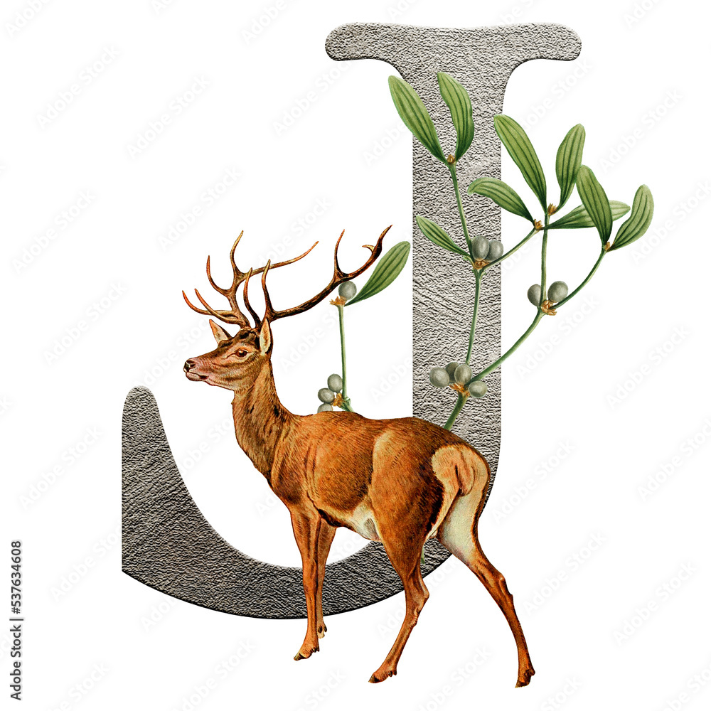 The J initial letter. Vintage Alphabet, set of hand-drawn ornate ...