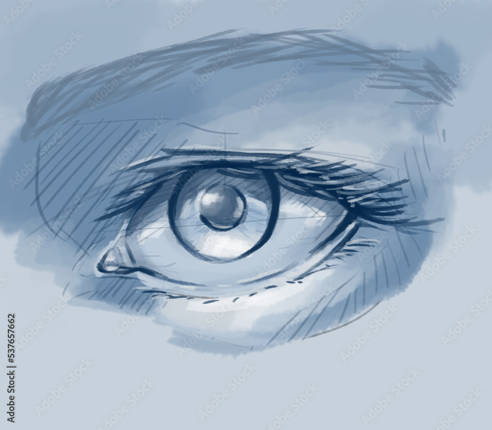ojo, estudio de ojo humano, ojo humano, dibujo de ojo Stock ...