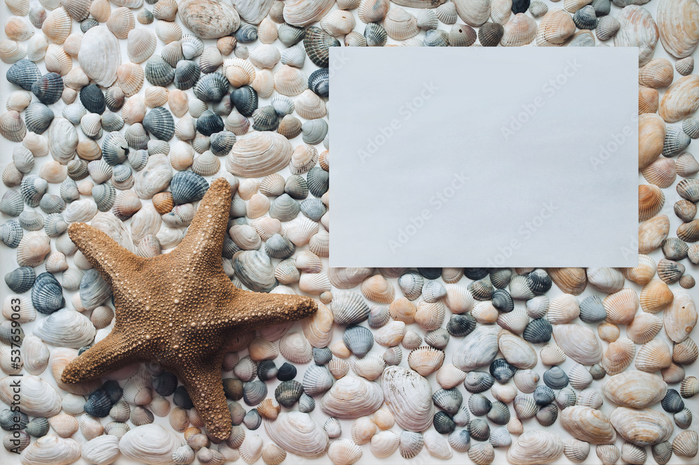 Seashells, mussels and one large brown starfish lie near of clean sheet ...