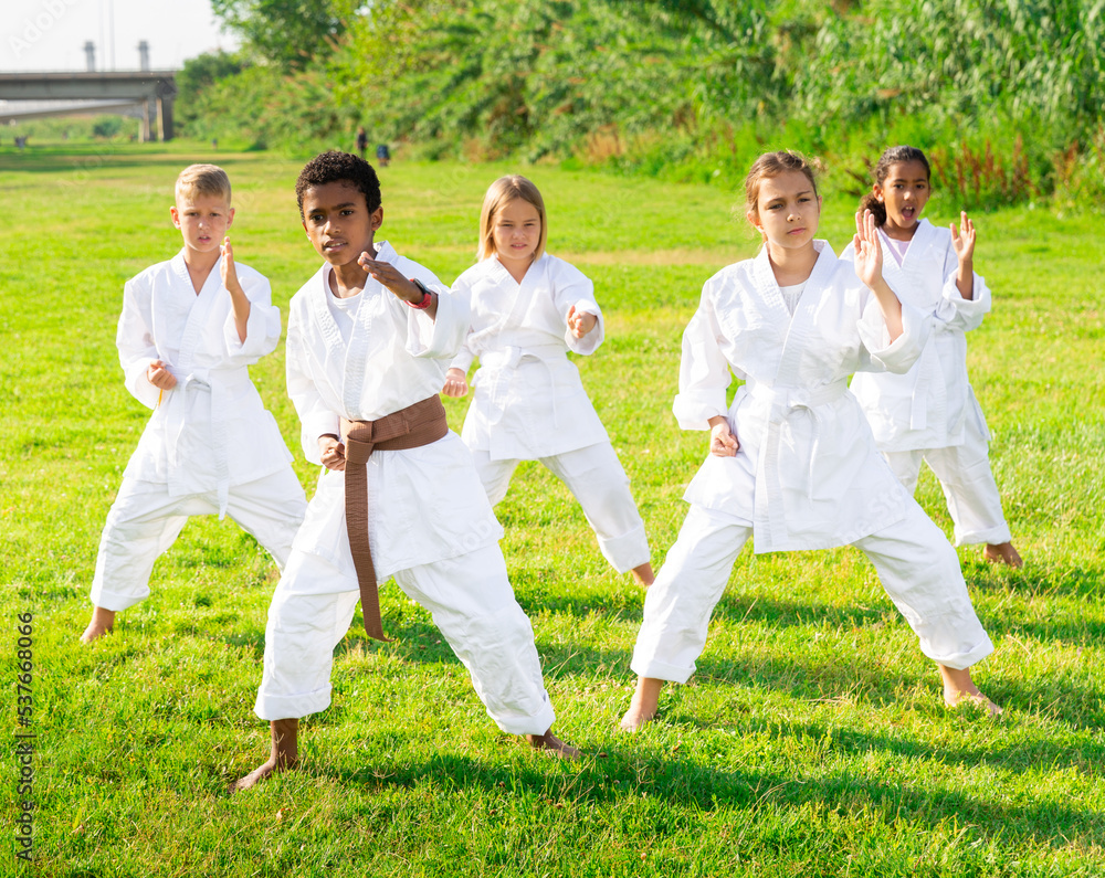 Barefoot kids doing kata during outdoor karate training. Stock Photo ...